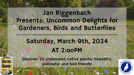 Uncommon Delights for Gardeners, Birds and Butterflies - Heron Haven