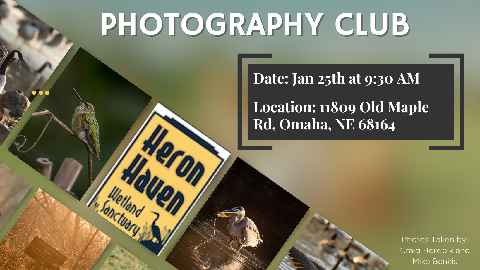 January 2025 Photography Club - Heron Haven